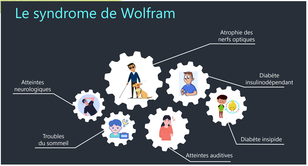 SYNDROME DE WOLFRAM | Rare Diseases: Genetics and Metabolism